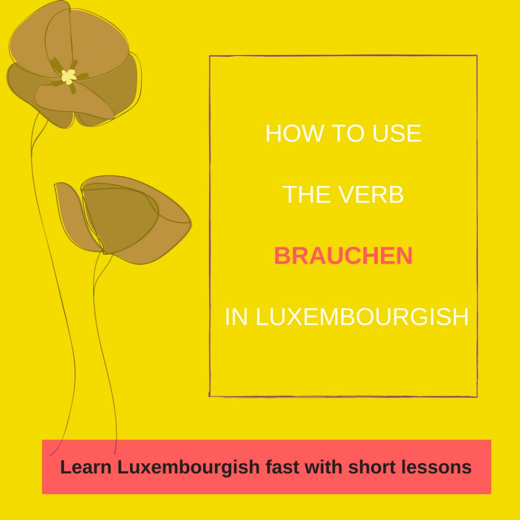 Learn how to use the verb brauchen in Luxembourgish | Luxemburgish With ...